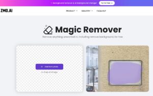 Remover: Removes Unwanted Objects or Backgrounds Within Seconds - AI ...